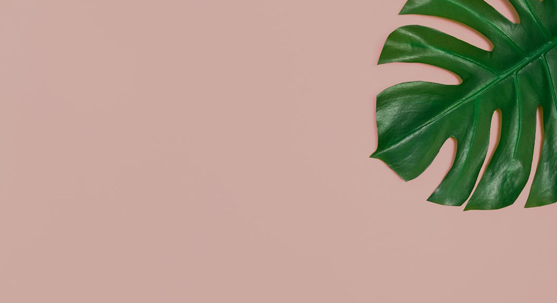 Official Online Store - Culti Milano