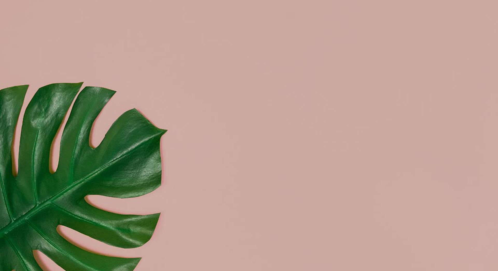 Official Online Store - Culti Milano